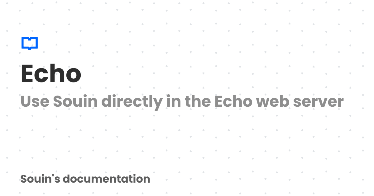 Echo | Souin's documentation